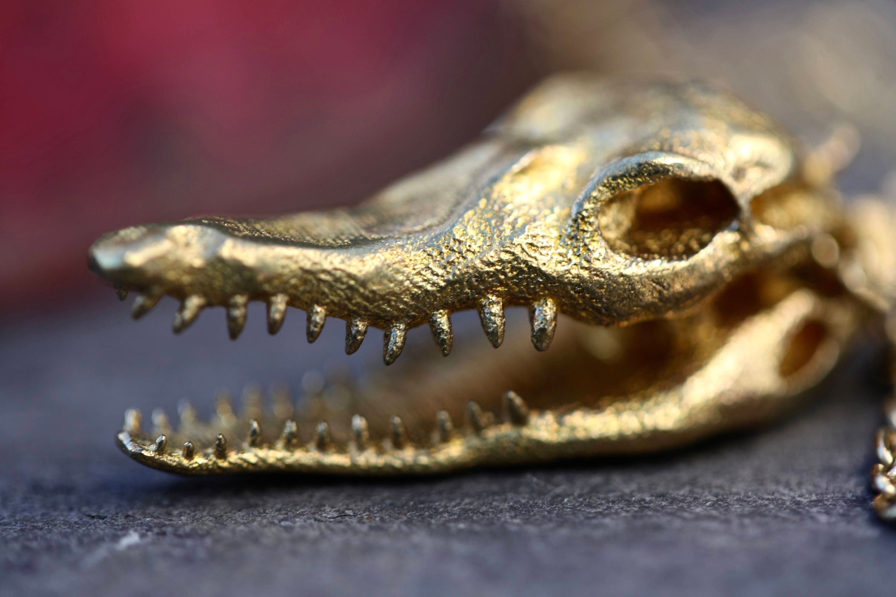 Crocodile necklace skull necklace skull jewelry crocodile | Etsy