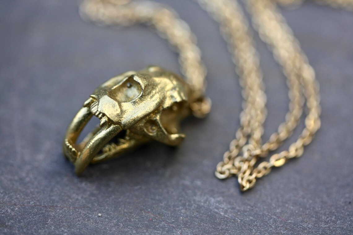 Saber Tooth Necklace Animal Skull Skull Necklace Animal - Etsy