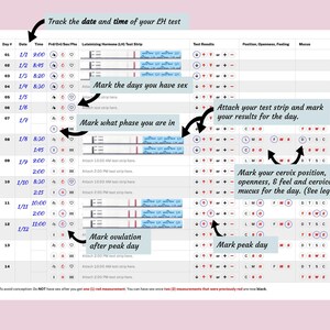Printable Fertility Chart PDF - File ONLY- Opk, Lh, HCG, Pdg Test ...