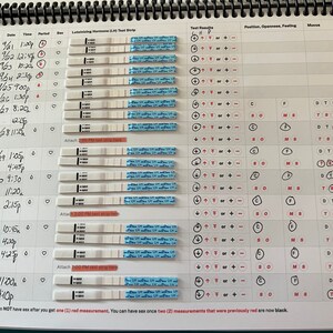 Printable Fertility Chart PDF - File ONLY- Opk, Lh, HCG, Pdg Test ...