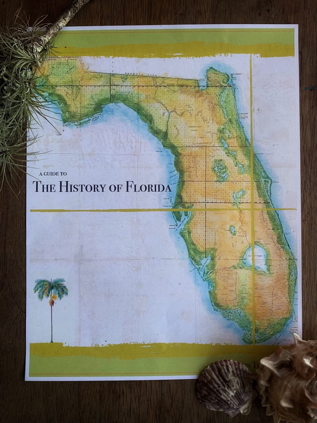 Florida History Guide Homeschool Curriculum - Etsy