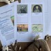 Florida History Guide - Homeschool Curriculum - Etsy