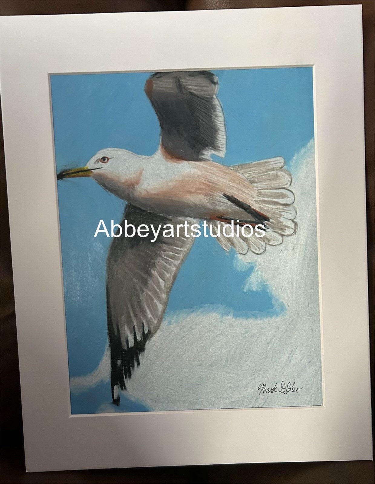 Seagull Original Colored Pencil Drawing - Etsy