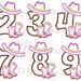 Set of 9 Cowboy Cowgirl Applique Numbers Machine Embroidery Designs - Etsy