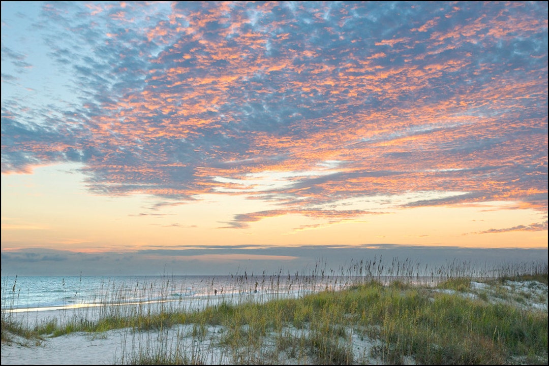 Beach Photography, Gulf Shores, Alabama, Sunset, Salt Life - Etsy