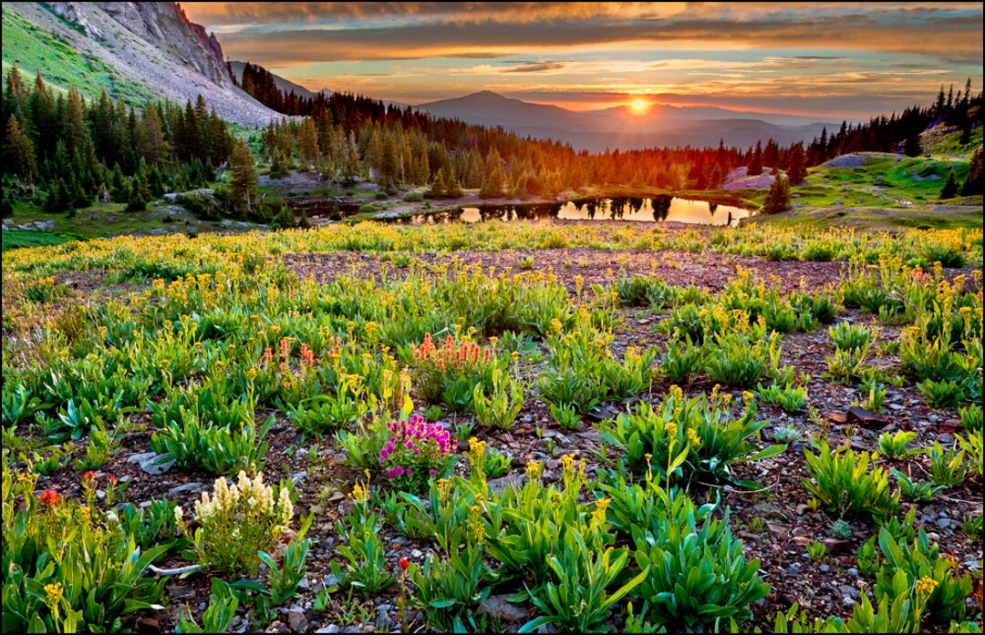 Nature Photography Rocky Mountains, Colorado, Gold King Basin ...