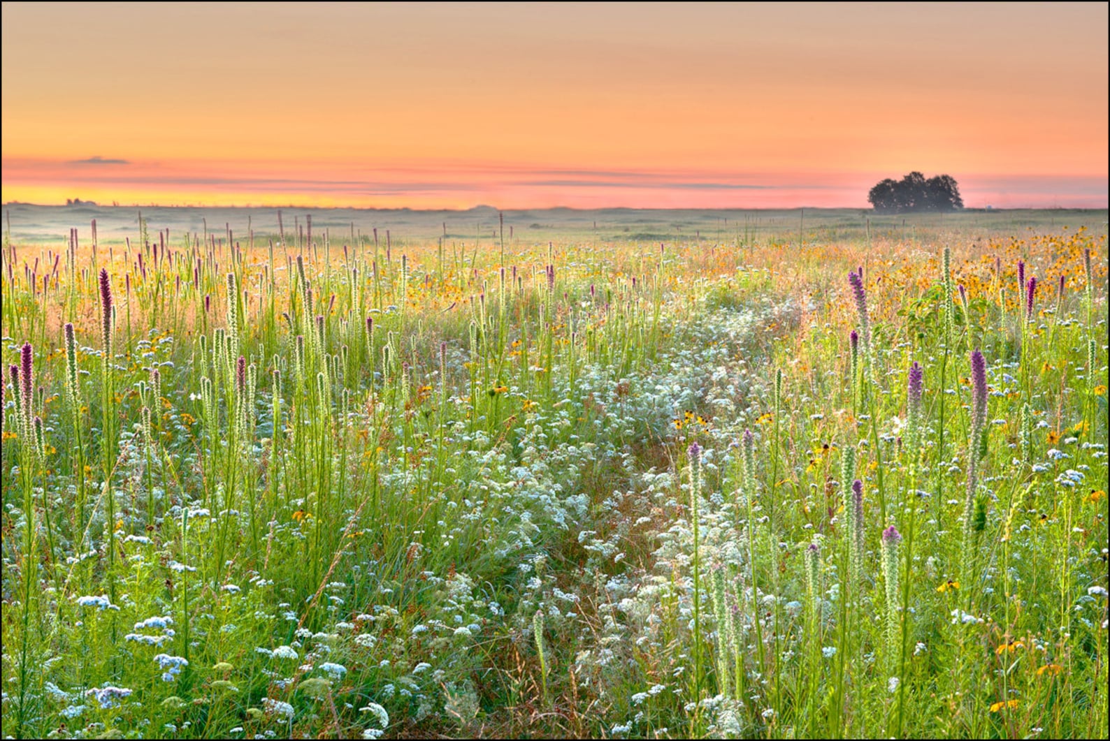 Missouri Prairie State Park: Where Wildflowers Bloom And Adventure Awaits