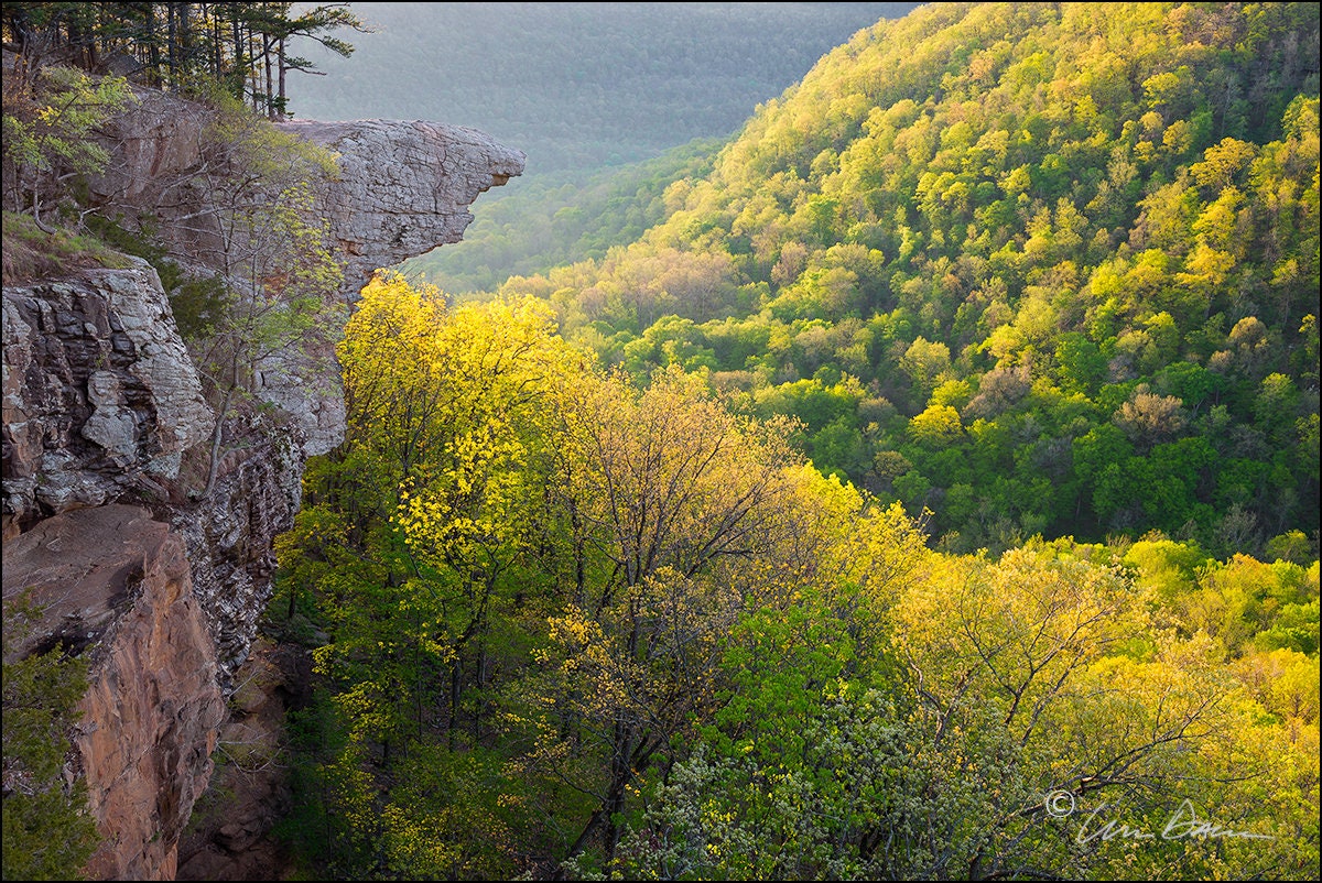 Ozark Mountains Spring