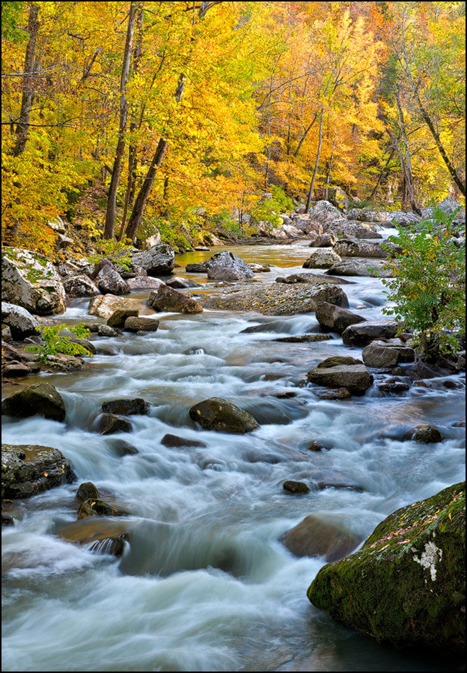 Nature Photography, Fall Foliage, Landscape, Creek, Stream, Richland ...