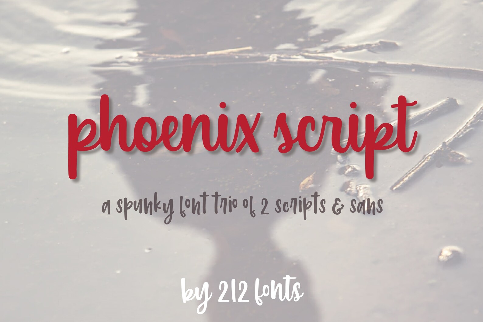 Phoenix Script Font Clean Script OTF Serif Sans Serif and | Etsy