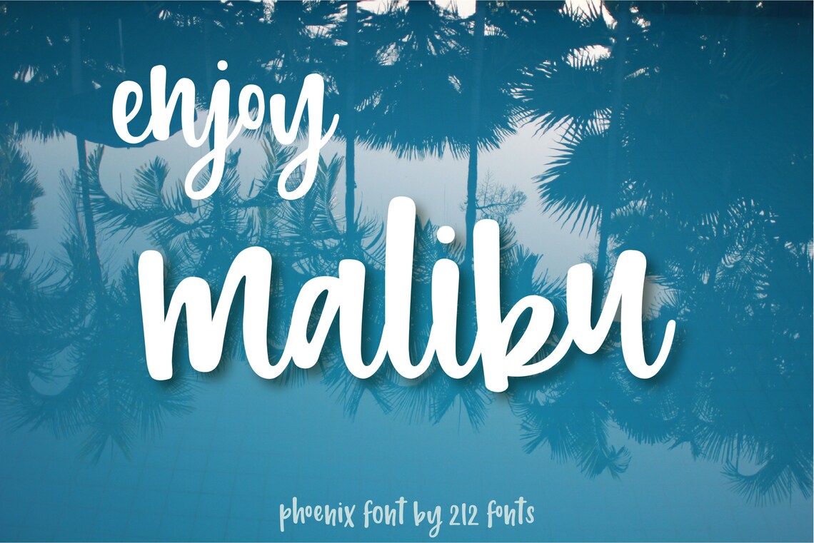 Phoenix Script Font Clean Script OTF Serif Sans Serif and | Etsy