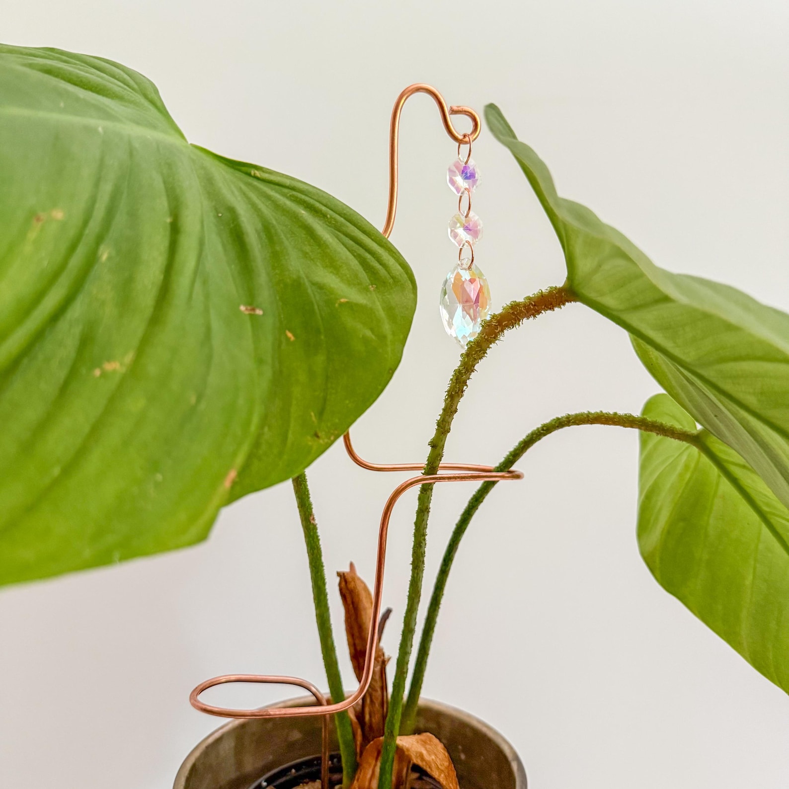 Tall Plant Support Stake Copper Trellis With Crystal Suncatcher for ...
