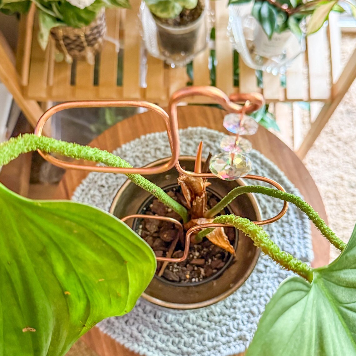Flamingo Plant Support: Copper Trellis With Crystal Suncatcher - Etsy