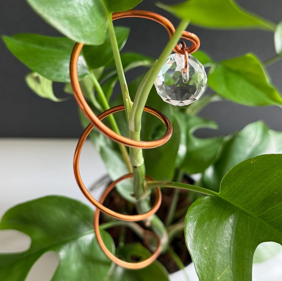 Copper Spiral Stake Trellis, Suncatcher, Vining Plant Support, Spiral ...