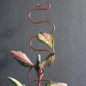 Handcrafted Copper Plant Trellis: Squiggle Stem Support - Etsy
