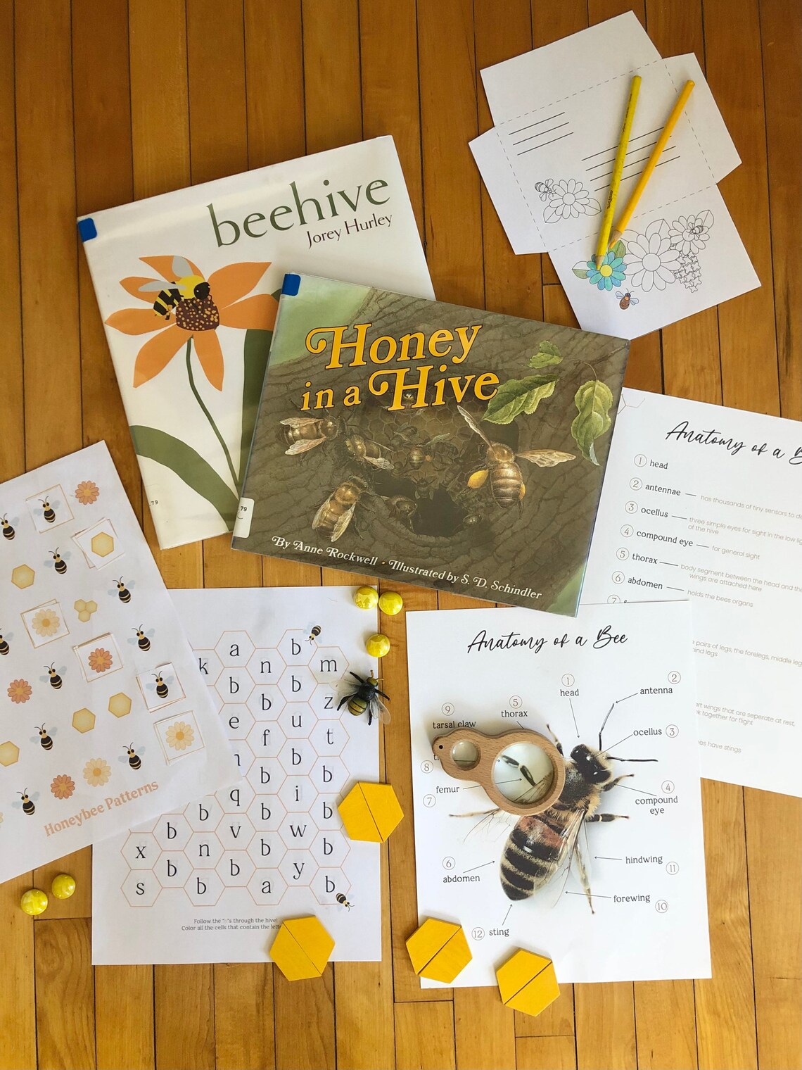 Bees Learning Bundle | Honeybee Nature Study | Mini Unit | Homeschool ...
