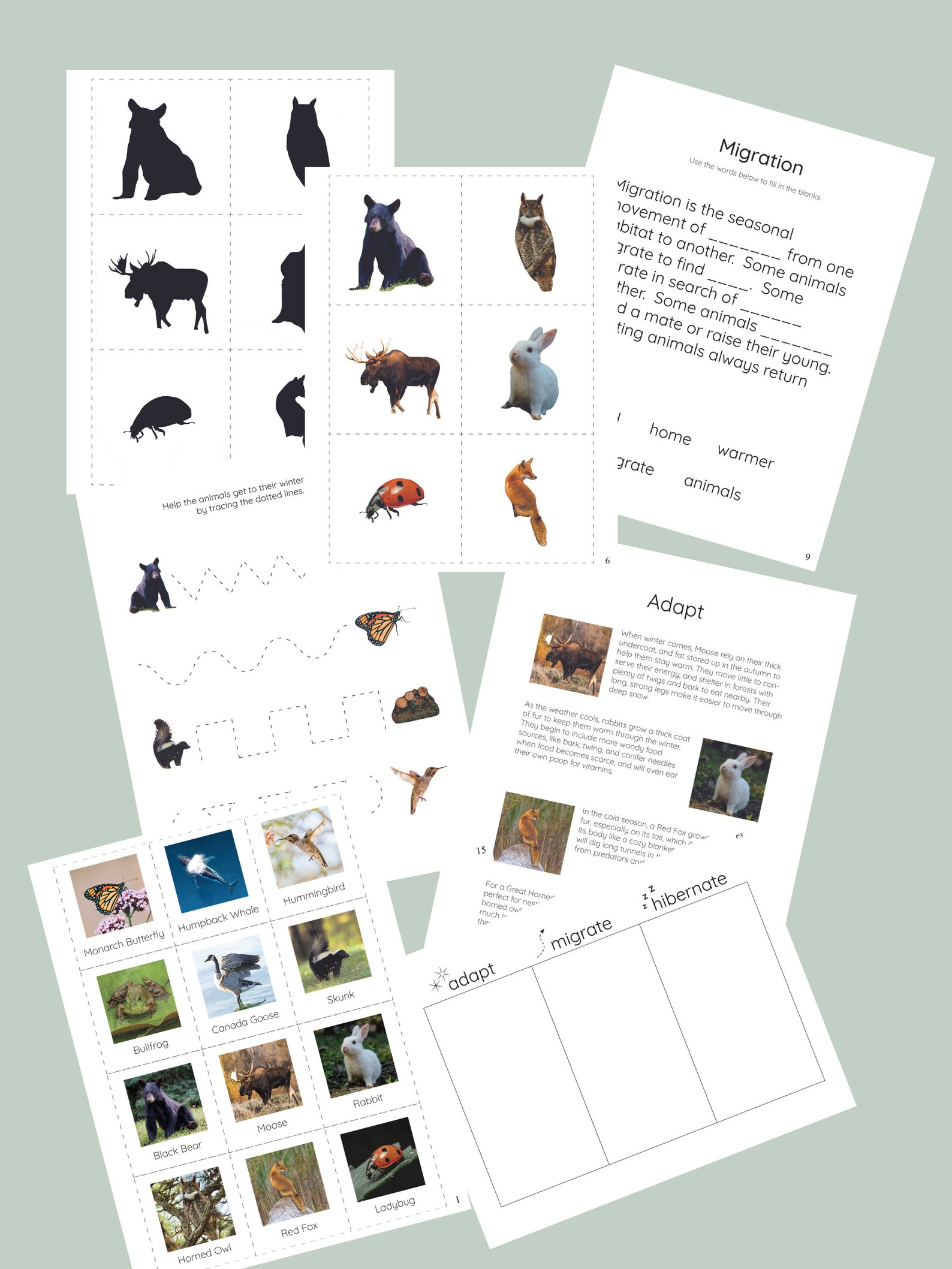 Hibernate Migrate Adapt | Winter Animals Learning Bundle | Nature Study ...