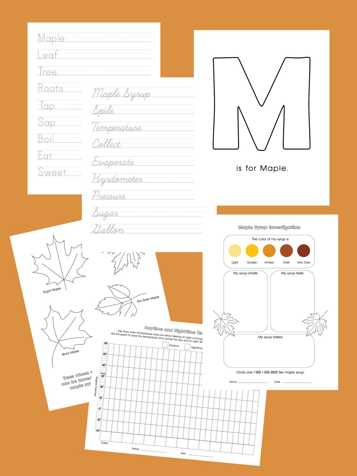 Maple Sugaring | Maple Syrup Learning Bundle | Nature Study | Mini Unit ...