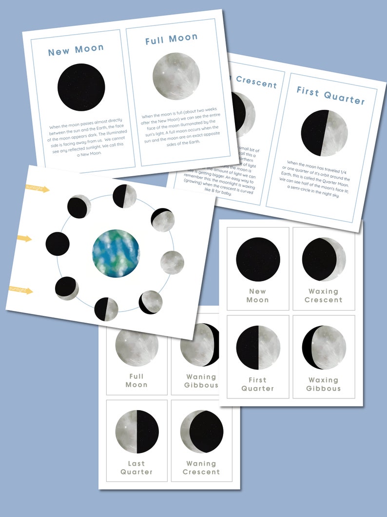 Phases of the Moon | Outer Space Learning Bundle | Nature Study | Mini ...