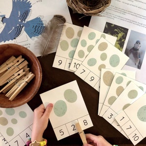 Blue Jay Learning Bundle | Nature Study | Mini Unit | Home School ...