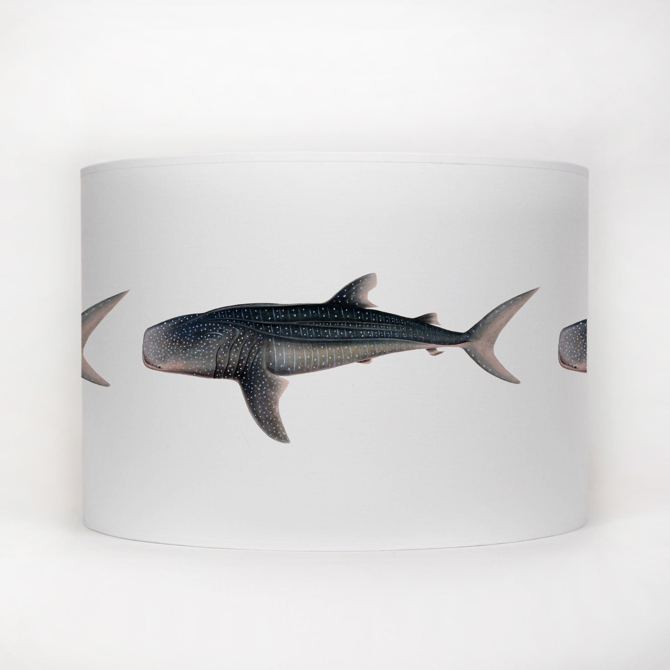 Shark lamp shade/ ceiling light nautical lamp shade fish | Etsy