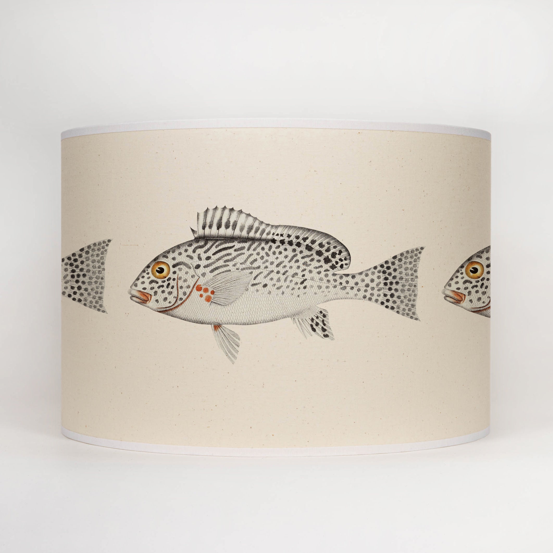 Fish Lampshade/ Ceiling Light - Nautical Lamp Shade - Sea Side Theme ...