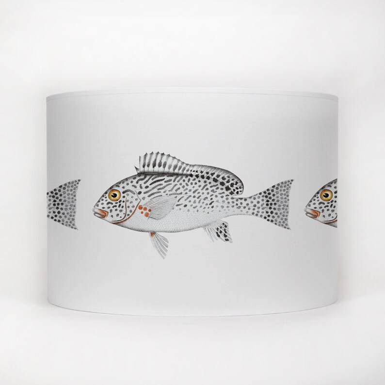 Fish Lampshade/ Ceiling Light Nautical Lamp Shade Sea Side - Etsy