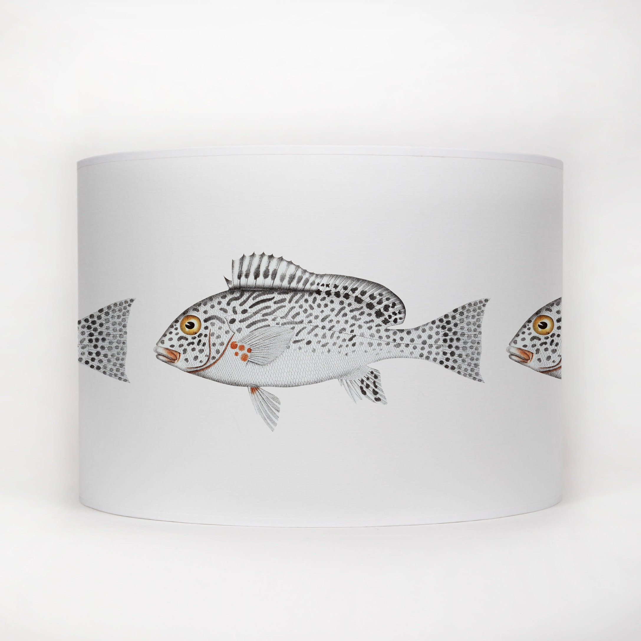 Fish Lampshade/ Ceiling Light - Nautical Lamp Shade - Sea Side Theme ...