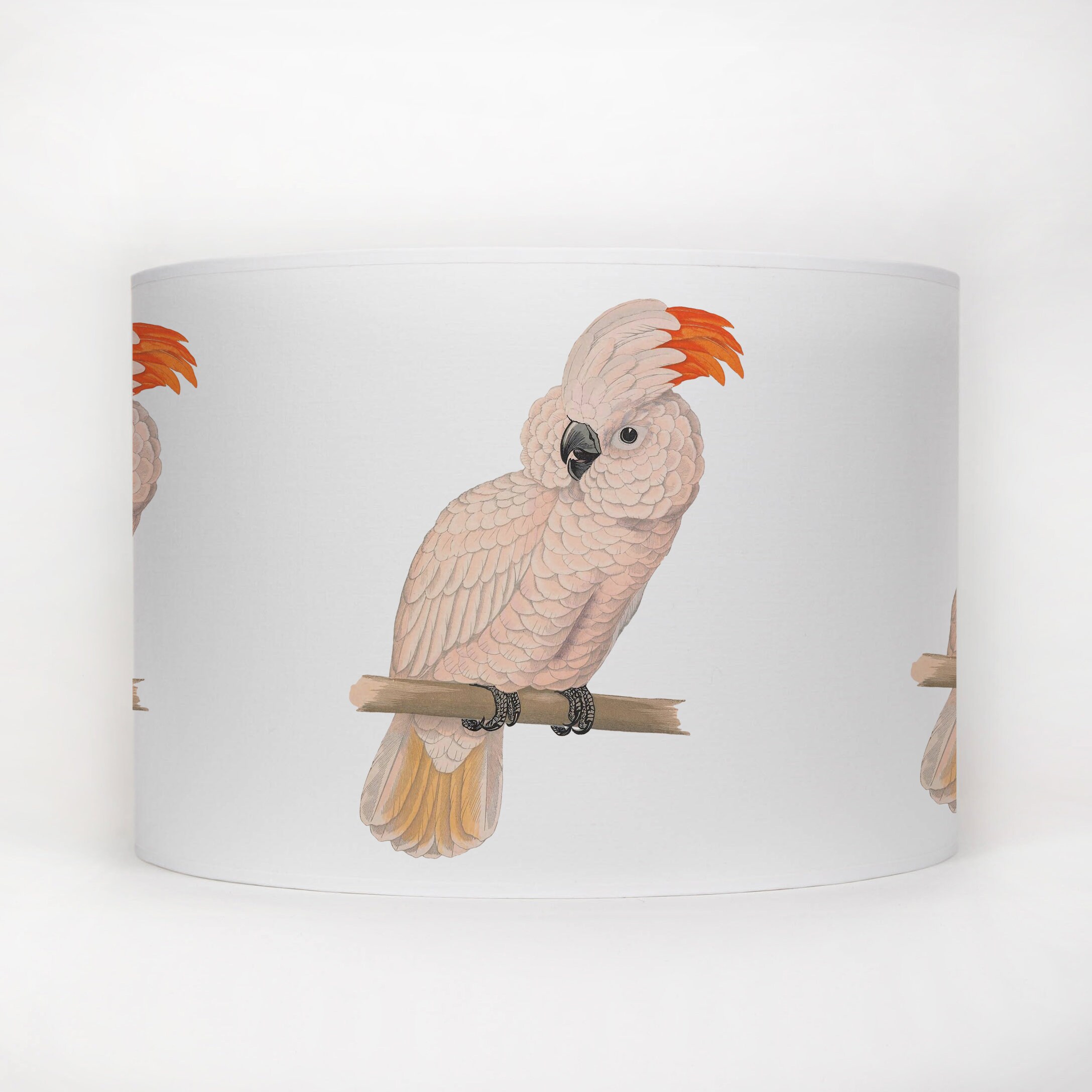 Parrot Lampshade/ Ceiling Light - Bird Lamp Shade - Tropical Lampshade ...