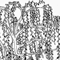 Bible Verse Coloring Page: Psalm 16.11 Digital Instant Download - Etsy