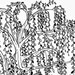 Bible Verse Coloring Page: Psalm 16.11 Digital Instant Download - Etsy