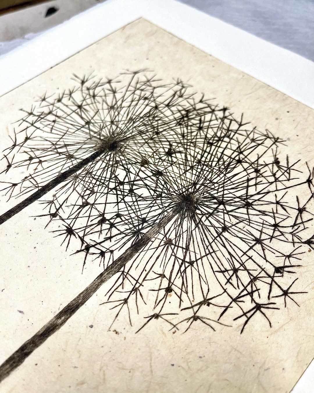 Allium Drypoint Chine Colle Original Print - Etsy