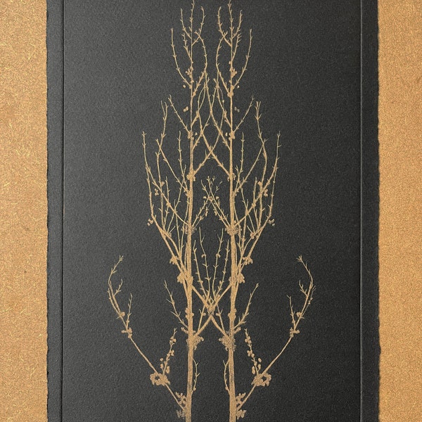 Original Drypoint - Etsy