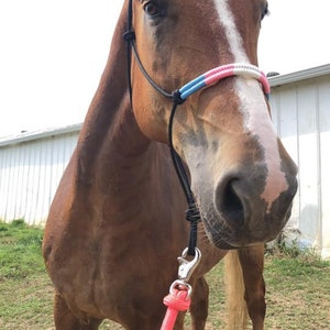 Pride Flag Rope Halter, Yacht Rope Halter, Pride Horse Tack, Rainbow ...