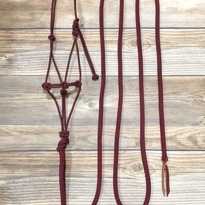 Custom Rope Halter & 12 Foot Attached Lead Rope, Yacht Rope Halter ...