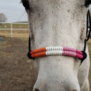 Pride Flag Rope Halter, Yacht Rope Halter, Pride Horse Tack, Rainbow ...