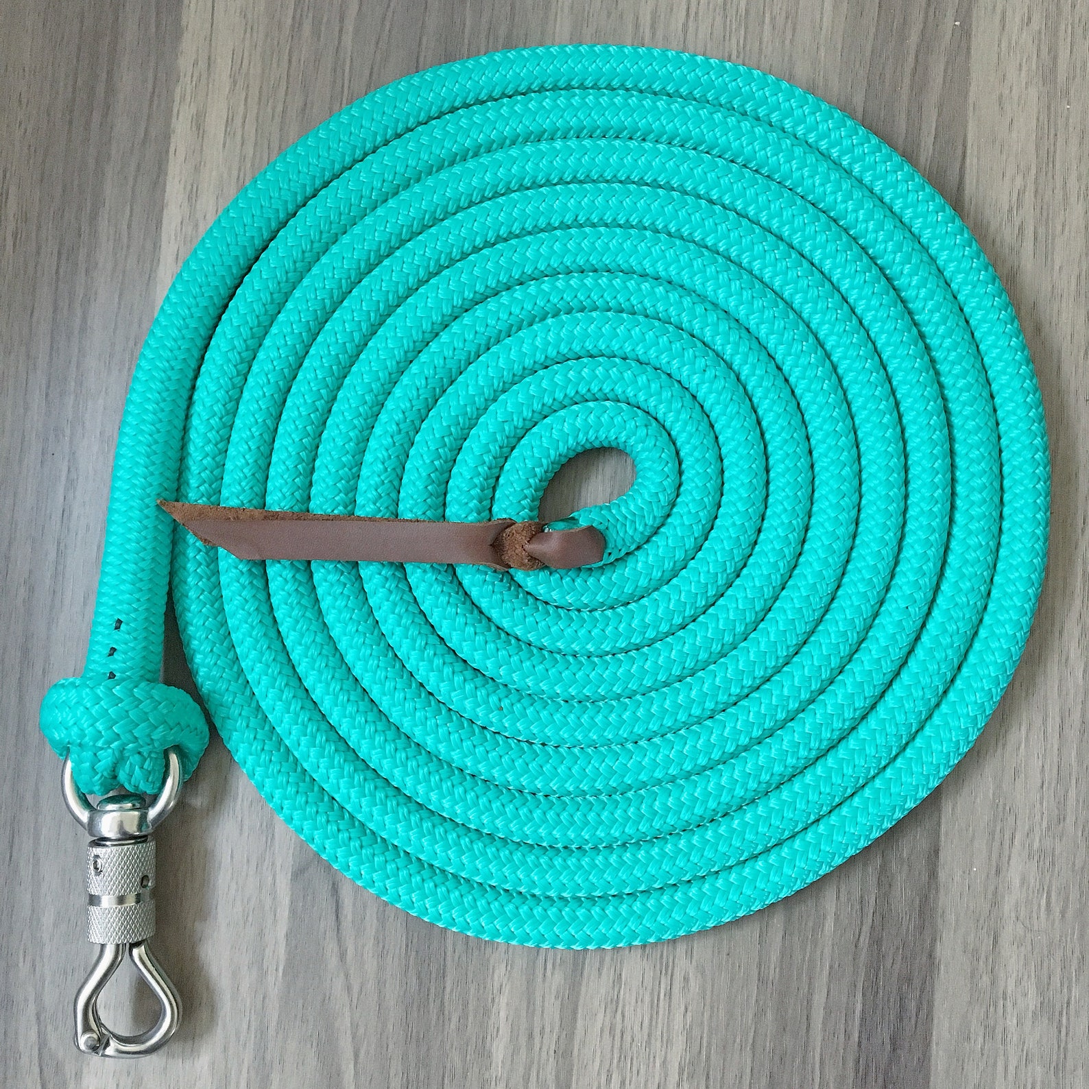 Custom 22 Foot Lead Rope, Yacht Rope Lead, Yacht Rope Lunge Line ...