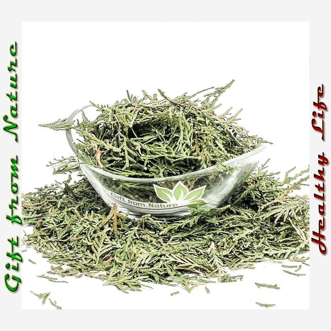 Bonus 15% THUJA Leaf 2lb 907g ORGANIC Dried Bulk Herb, Thuja Orientalis ...