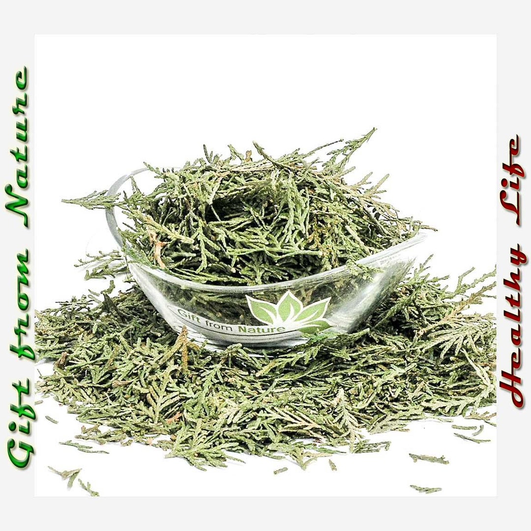 THUJA Leaf 1lb 454g 20% BONUS , Organic Thuja Orientalis , Natural ...