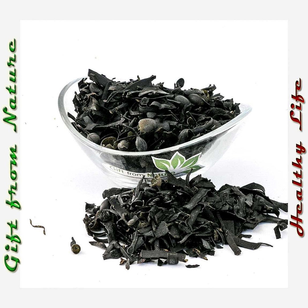 BLADDERWRACK Plant 2oz 57g ORGANIC Dried Bulk Herb, Fucus Vesiculosus ...