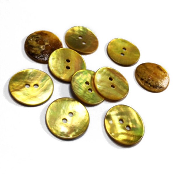 Shell Buttons - Etsy