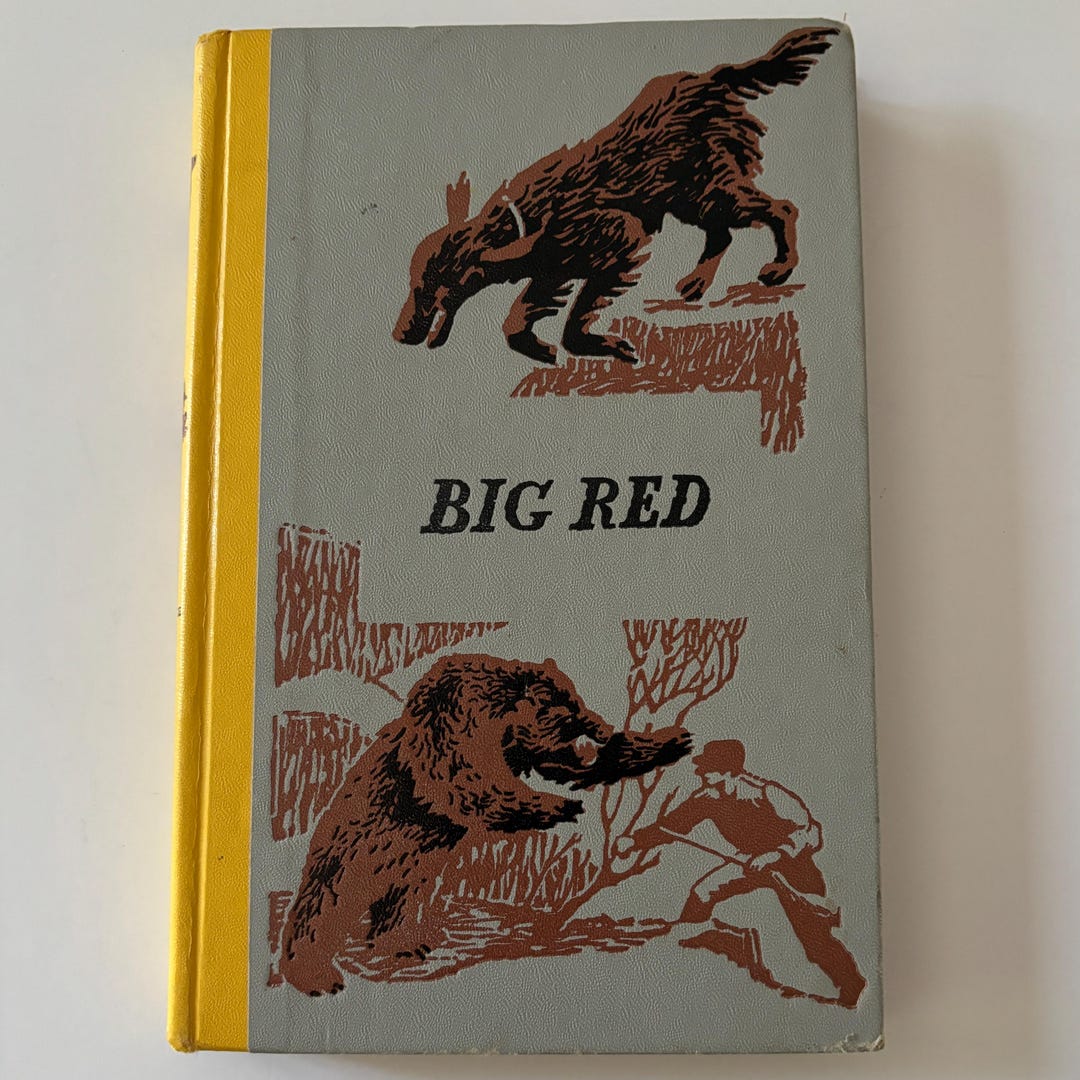 Vintage Hardcover Children's Book: Big Red by Jim Kgelgaard, Junior ...