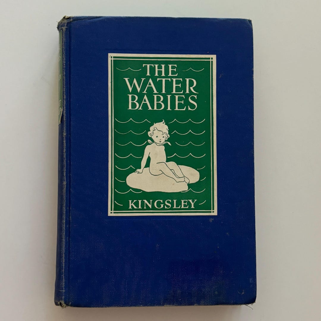 Vintage Hardcover Book: the Water-babies by Charles Kingsley - Etsy