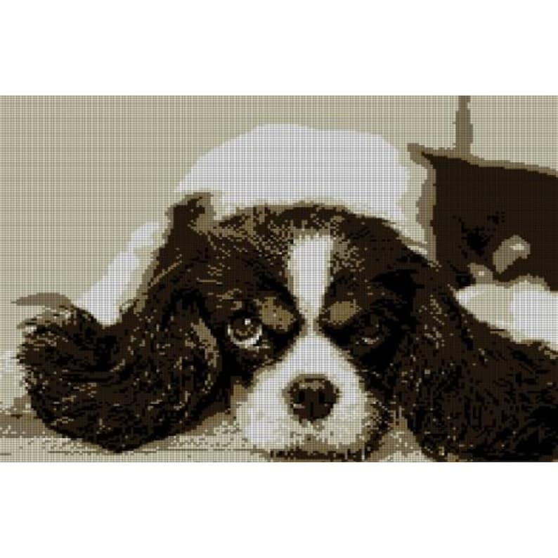 Custom Dog Portrait Crochet Pattern: Personalized Pet Graphgan (PDF ...