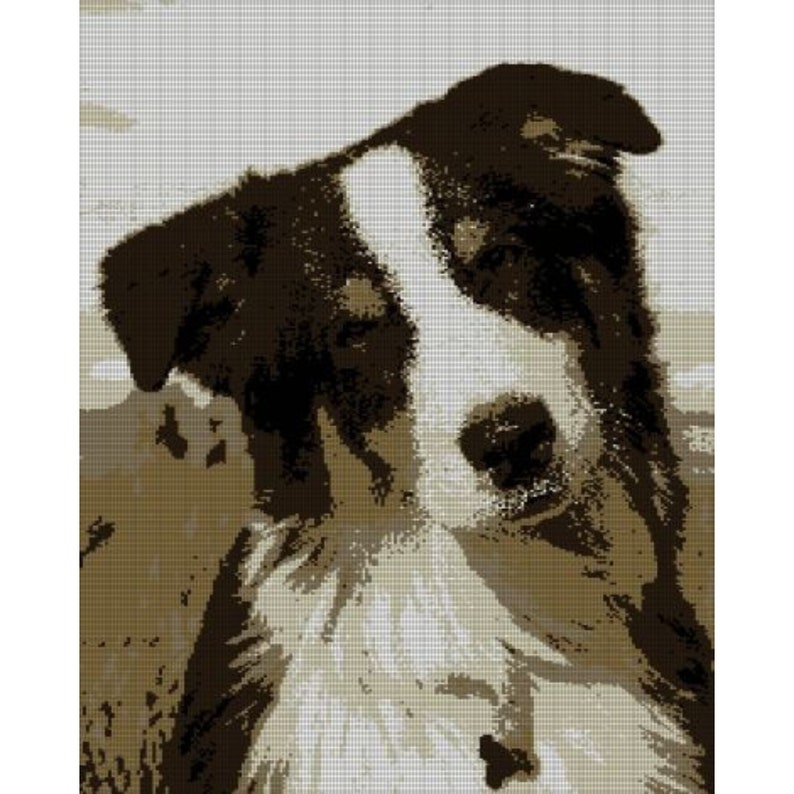 CUSTOM DOG PORTRAIT Crochet Pattern Personalized Pet Graphgan | Etsy