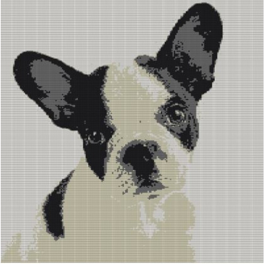 CUSTOM DOG PORTRAIT Crochet Pattern, Personalized Pet Graphgan, Crochet ...