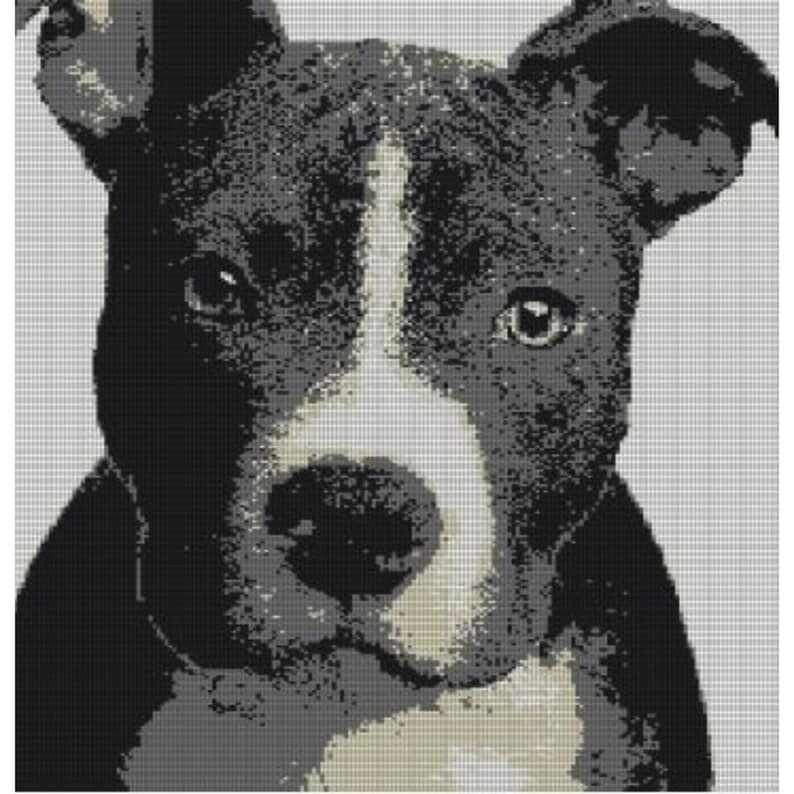 CUSTOM DOG PORTRAIT Crochet Pattern Personalized Pet Graphgan | Etsy