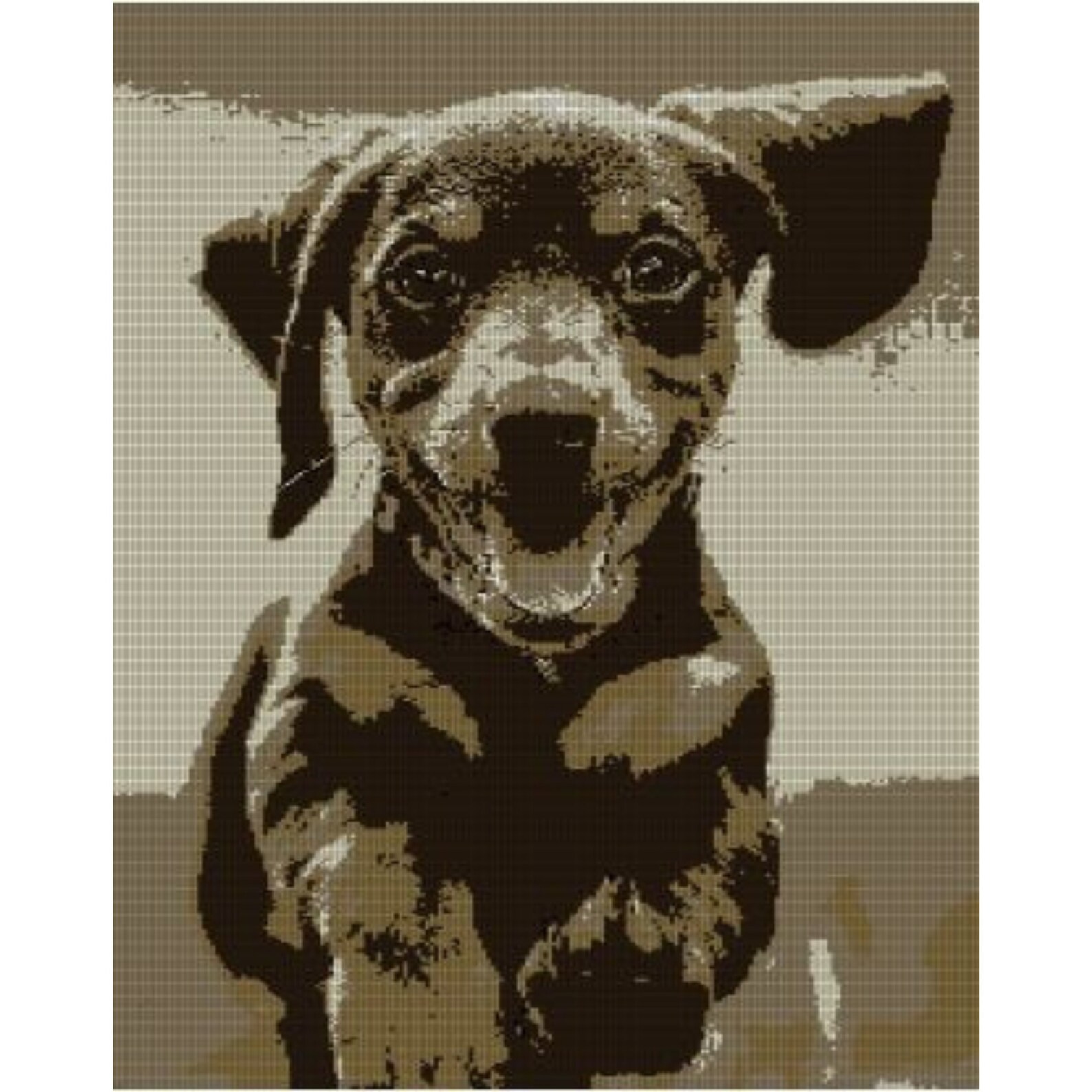 CUSTOM DOG PORTRAIT Crochet Pattern Personalized Pet Graphgan | Etsy