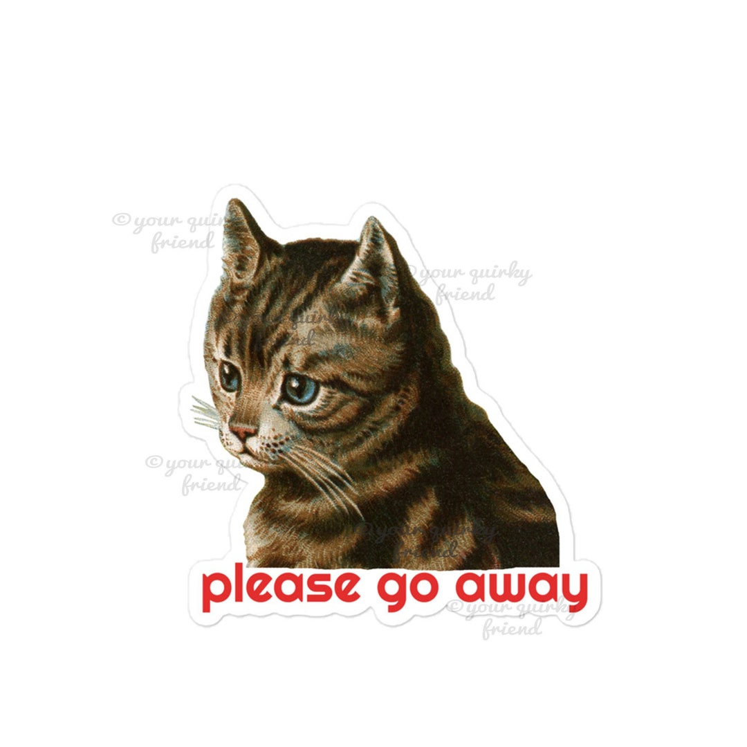 Please Go Away Cat Sticker Laminated Die Cut Sticker Kitsch Kitty Cute ...
