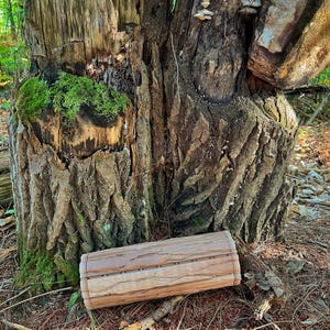 Wood Log Chess Board With Mushroom Chess Set Pieces and Acorn Checkers ...